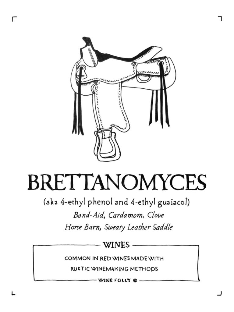 brettanomyces-wine-folly-illustration - VinoSigns